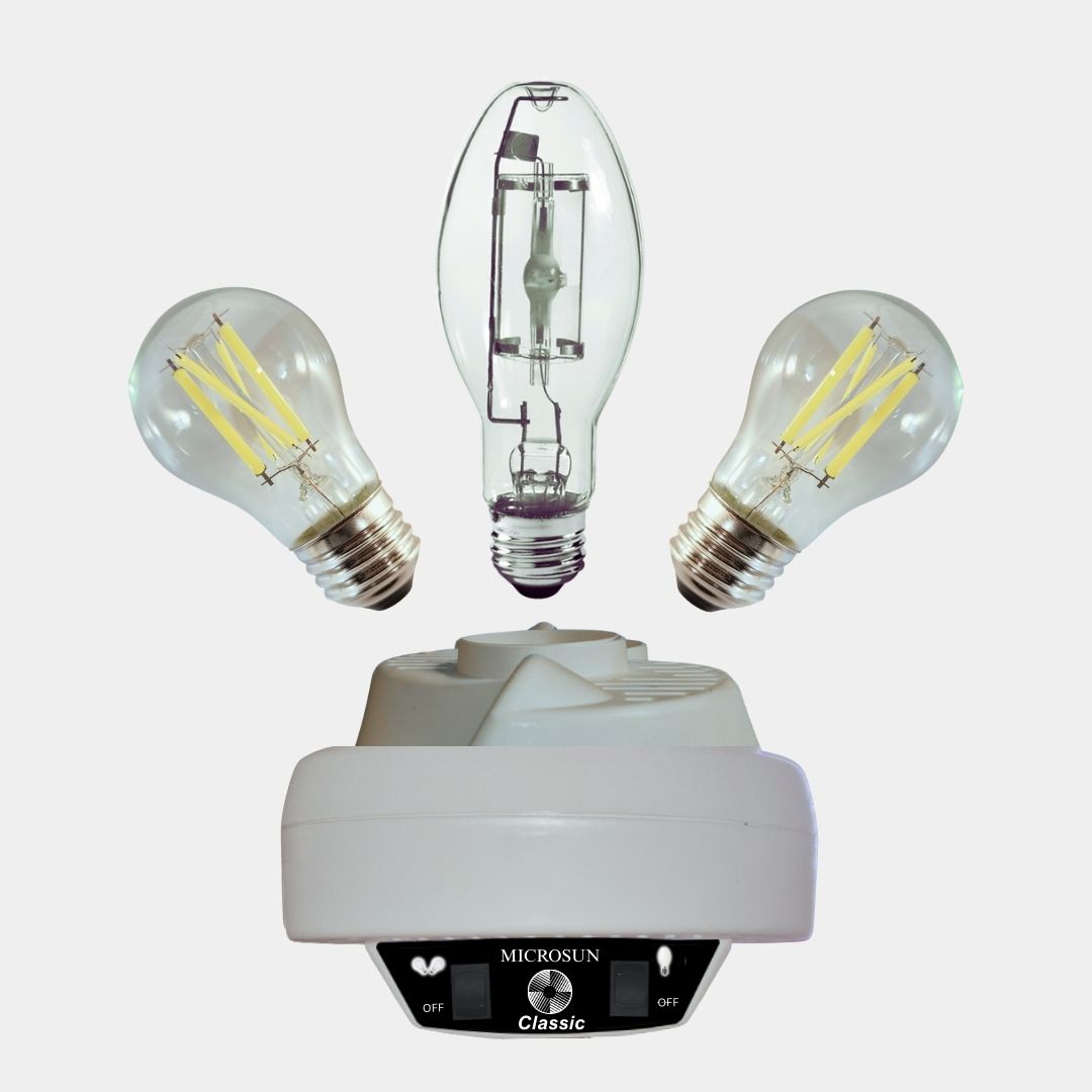 Better Reading & Task Lighting | Microsun Lamps