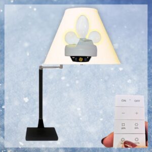 MicrosunXL - Solis in Graphite - Scratch and Ding | Microsun Lamps